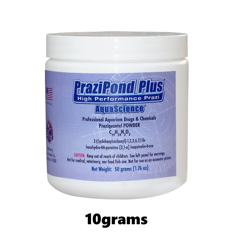 Praziquantel 10grams Fish Treatment – Dietter's Water Gardens