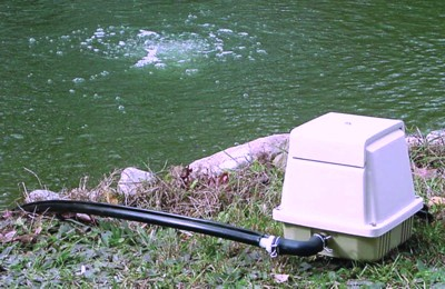 Deluxe Linear Aeration Kit – Dietter's Water Gardens